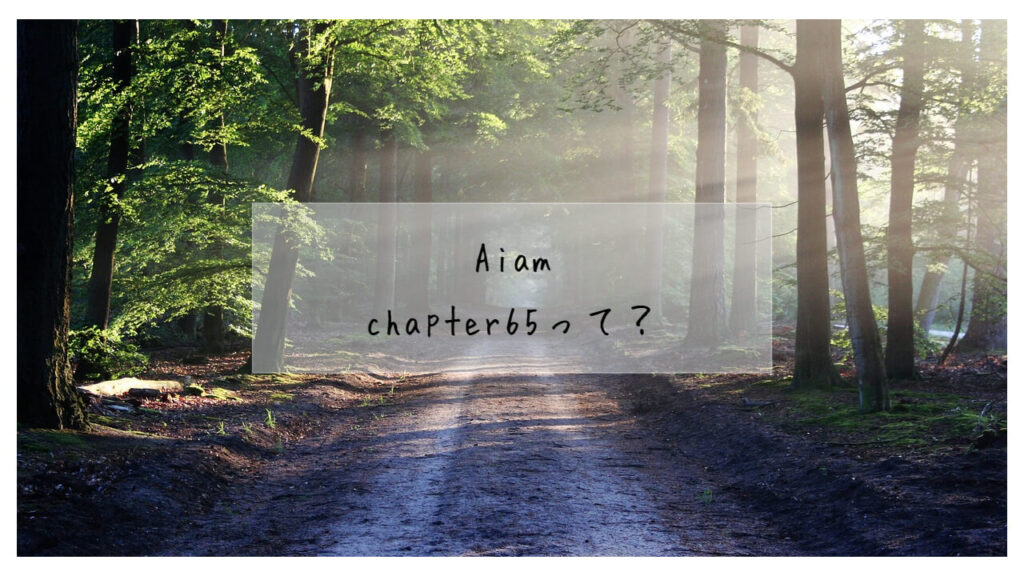 【ホワイトムスク好き必見】Aiamの人気香水chapter65はどんな香り？持続時間は？ - ぽむラボ